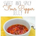 Four Pepper Sweet and Spicy Jelly Sauce for Just About Anything!