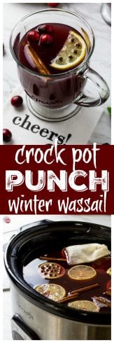 Wassail - Percolator Punch - Spiced Winter Crockpot Punch