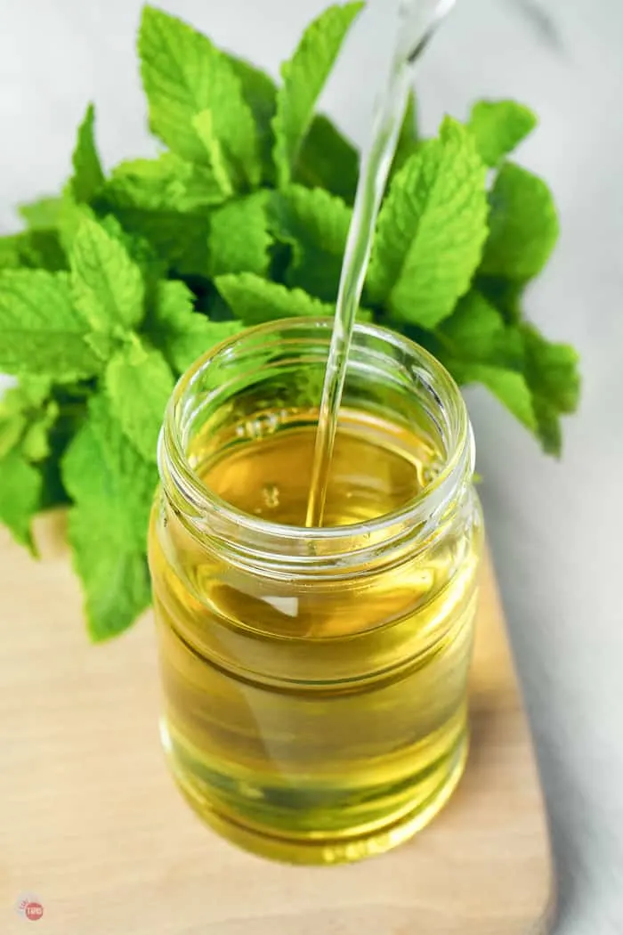 Mint Infused Simple Syrup