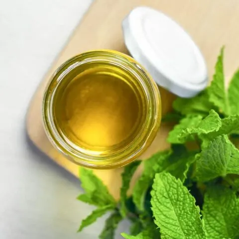 Mint Infused Simple Syrup {Easy Recipe!} Take Two Tapas