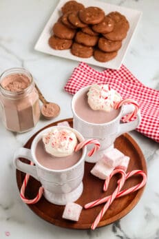 Peppermint Hot Chocolate (Cocoa Mix) - Take Two Tapas