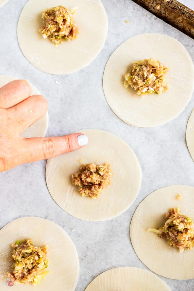 How to Make Gyoza (Pan Fried Dumplings) Take Two Tapas