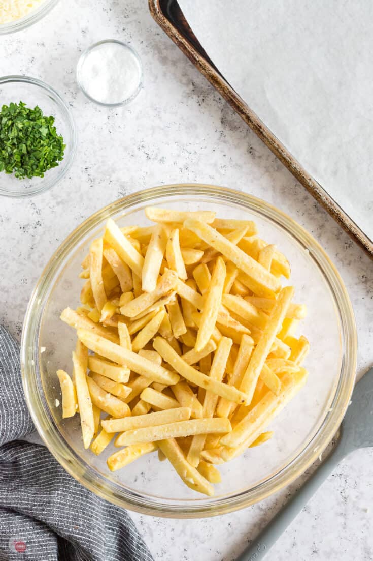 Garlic Parmesan Fries - Take Two Tapas