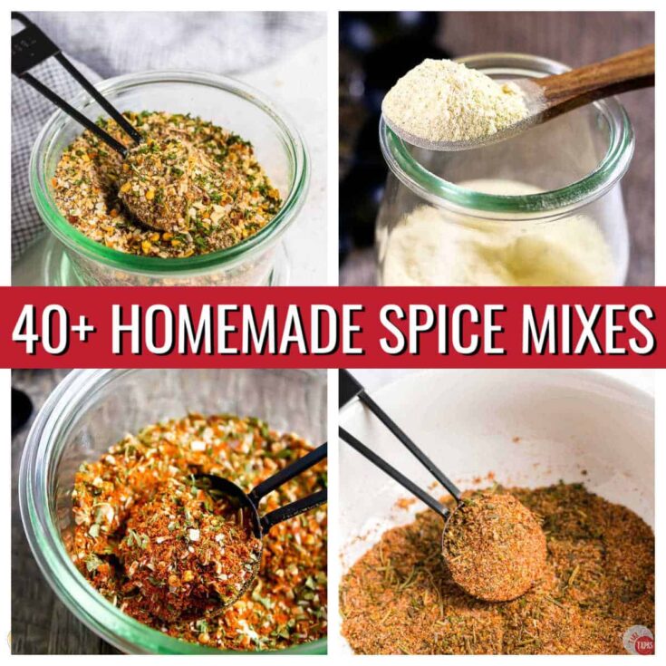 40+ Homemade Spice Mixes - Take Two Tapas