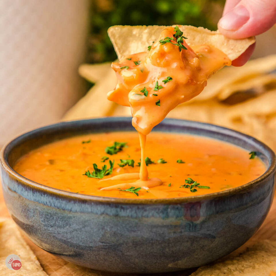 Shrimp Rotel Dip (Crockpot) - Take Two Tapas