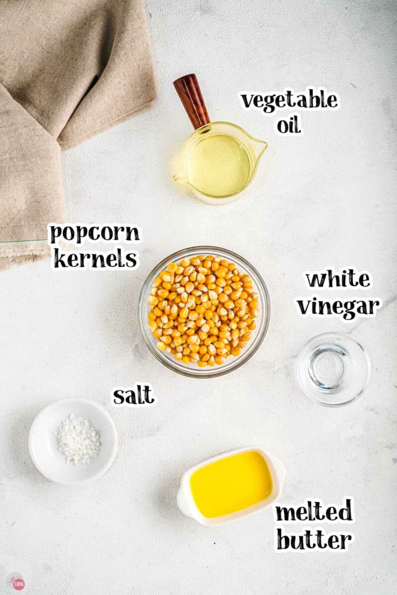 Easy Salt and Vinegar Popcorn - Take Two Tapas