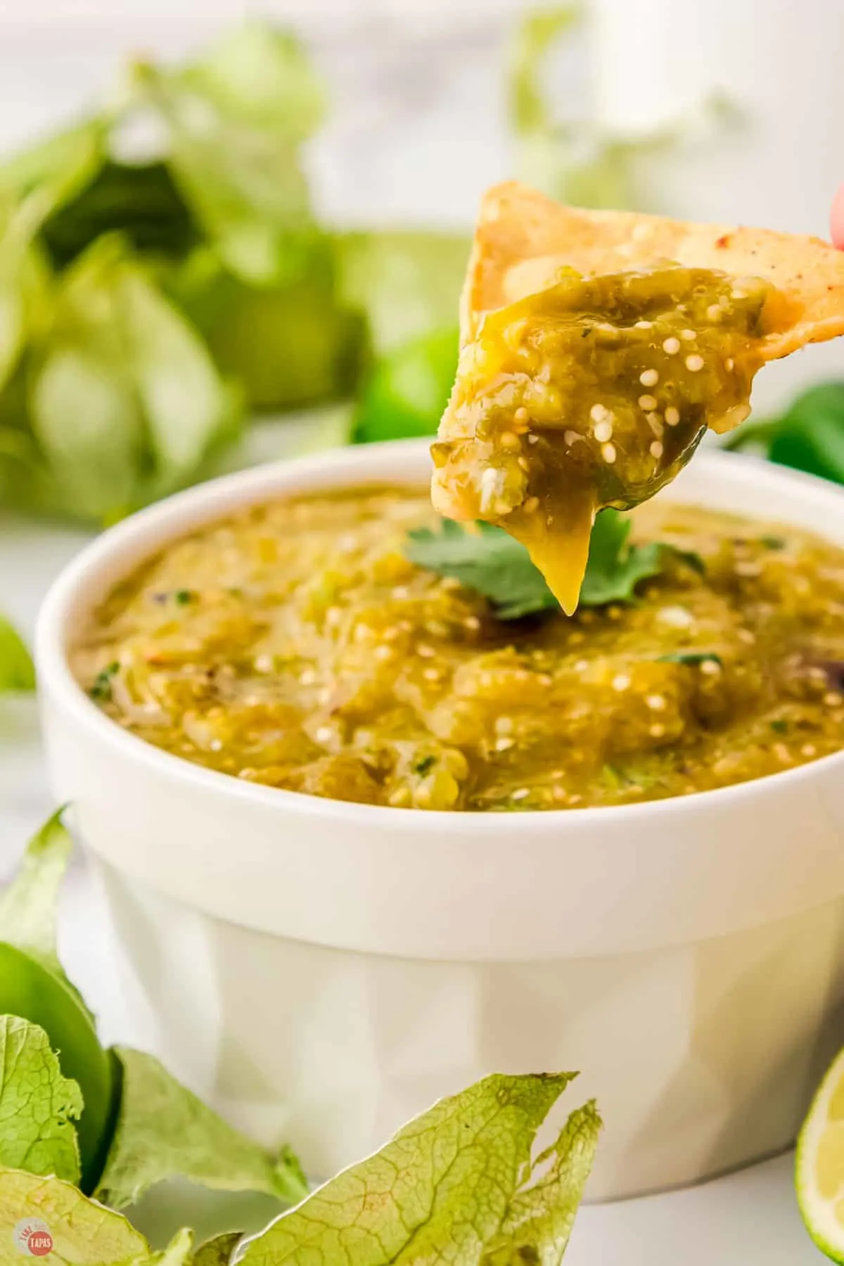 Best Salsa Verde (Easy Green Salsa) - Take Two Tapas