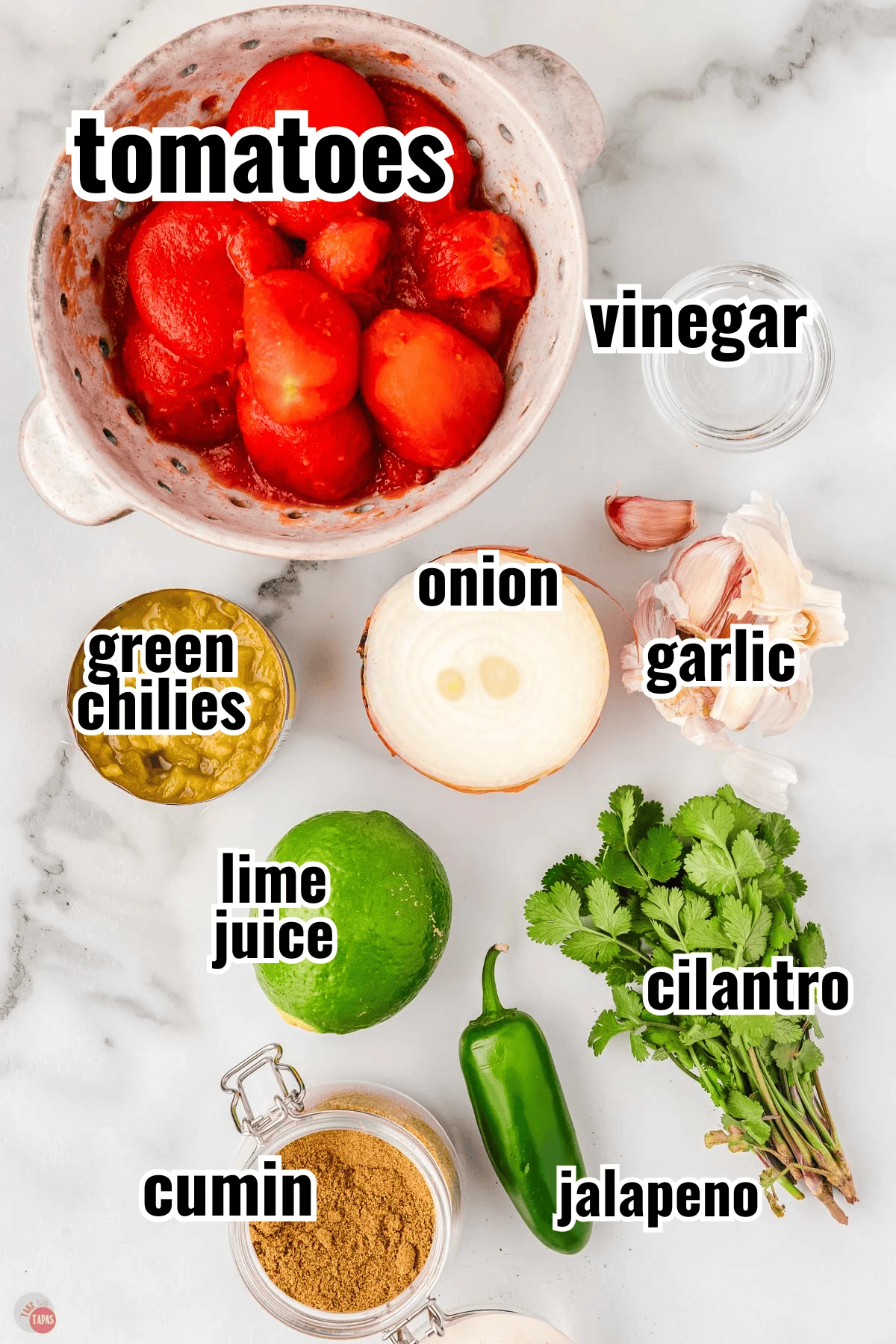 Best Homemade Salsa Recipe - Take Two Tapas