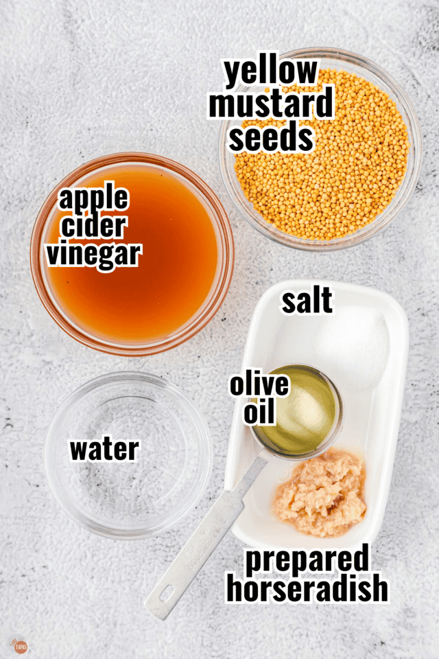 Homemade Whole Grain Mustard - Take Two Tapas