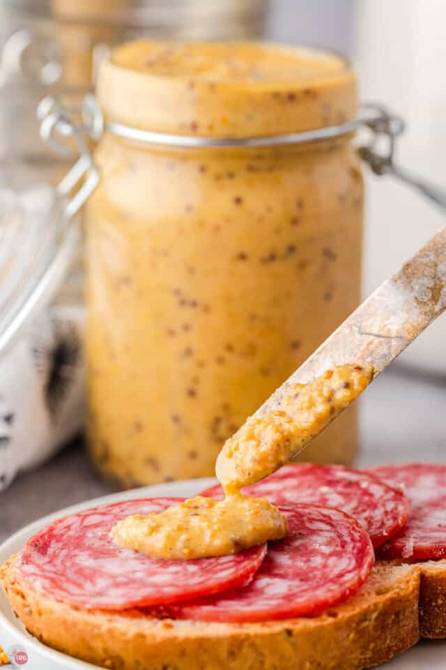 Homemade Whole Grain Mustard - Take Two Tapas