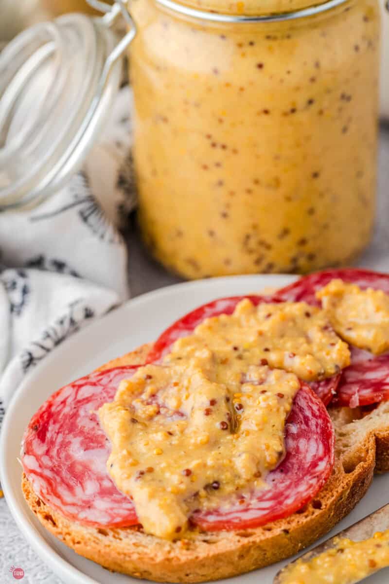 Homemade Whole Grain Mustard - Take Two Tapas